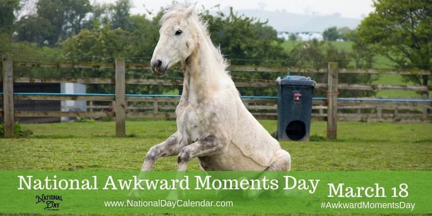 National Awkward Moments Day! – Peytons View
