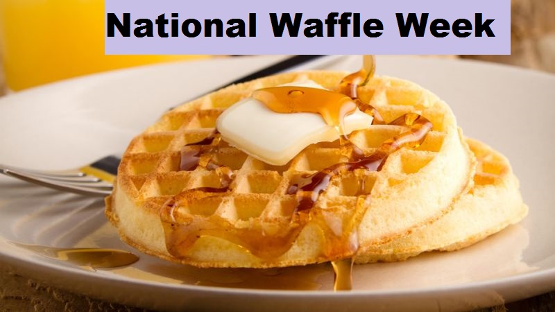 National Waffle Week! – Peytons View