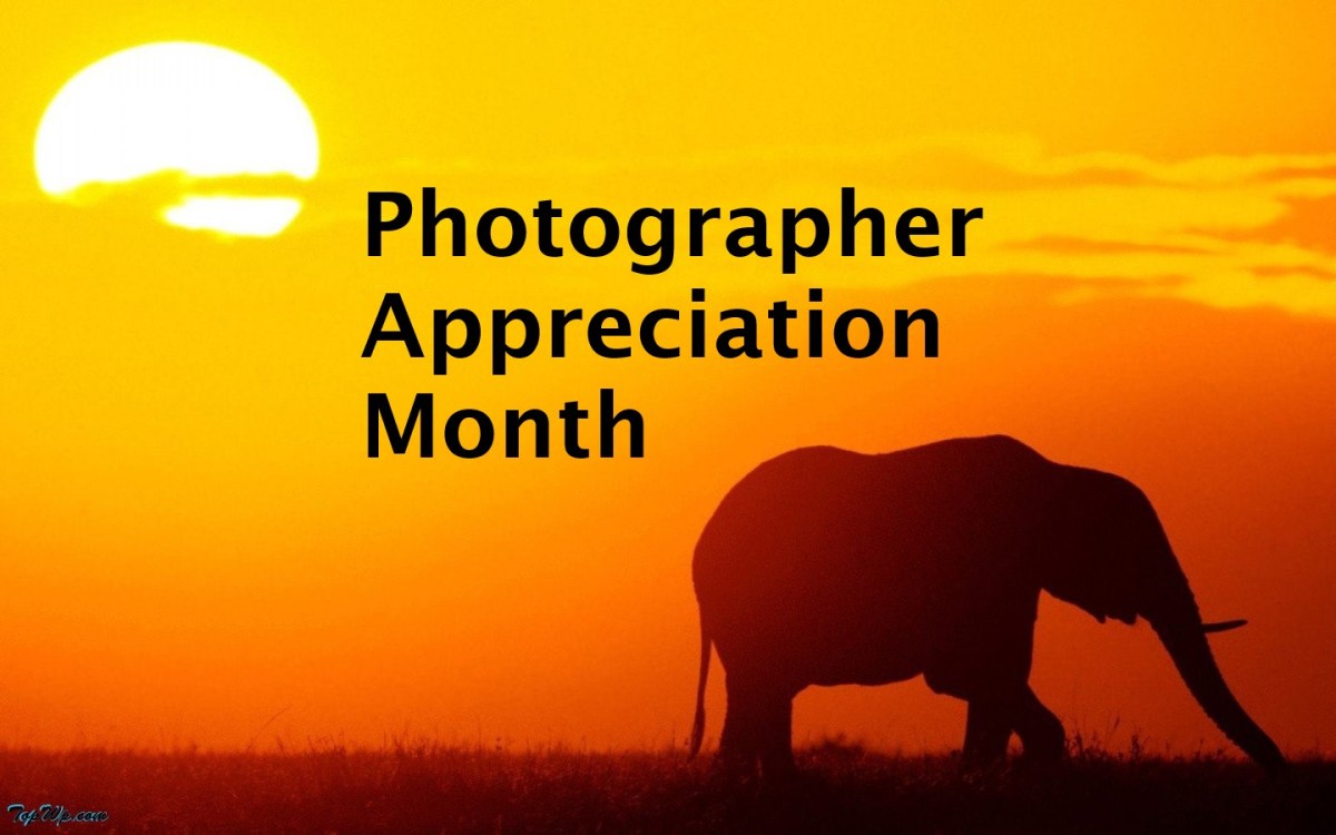 Photographer Appreciation Month – Peytons View
