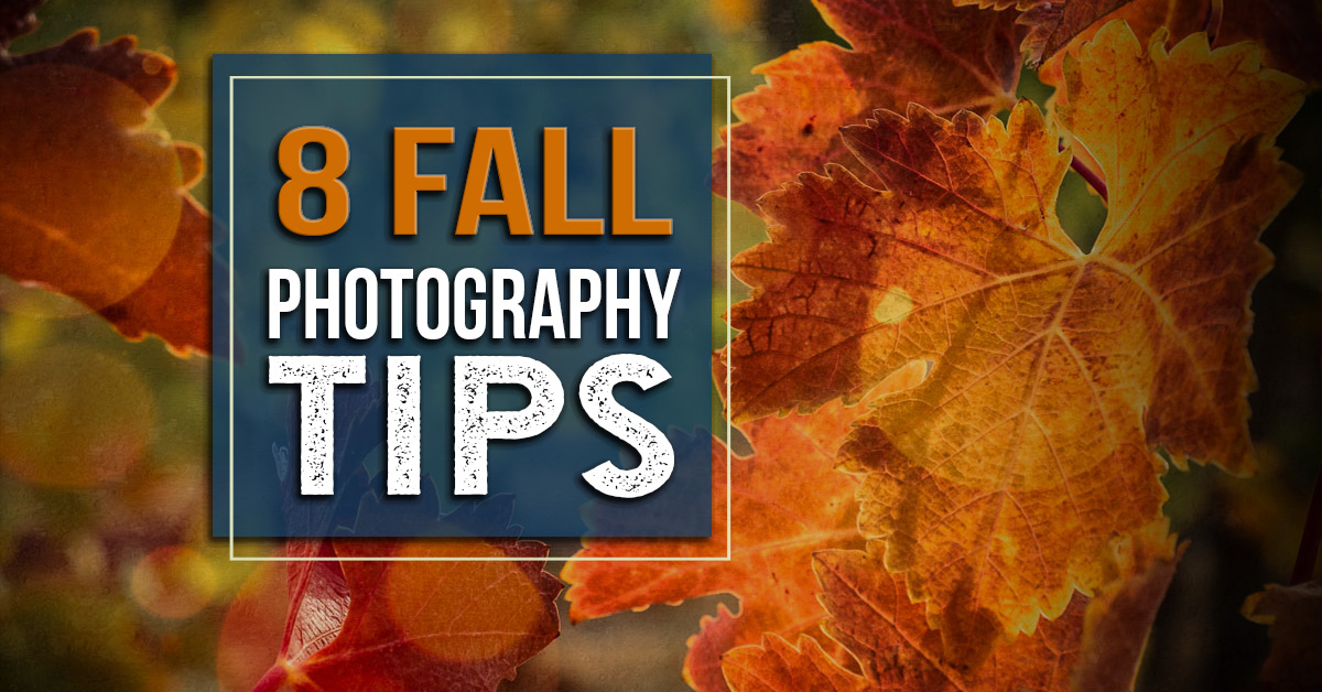 Top Fall Photography Tips – Peytons View